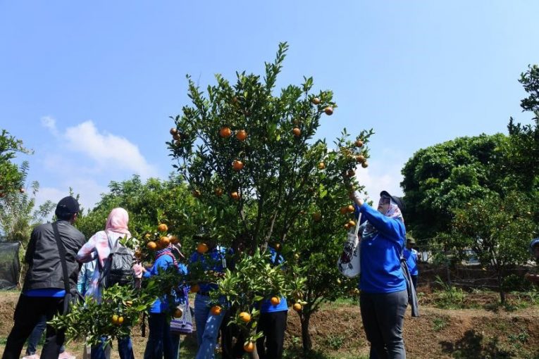 KUNJUNGAN FAKULTAS PERTANIAN UGM KE KOTA BATU – Fakultas Pertanian
