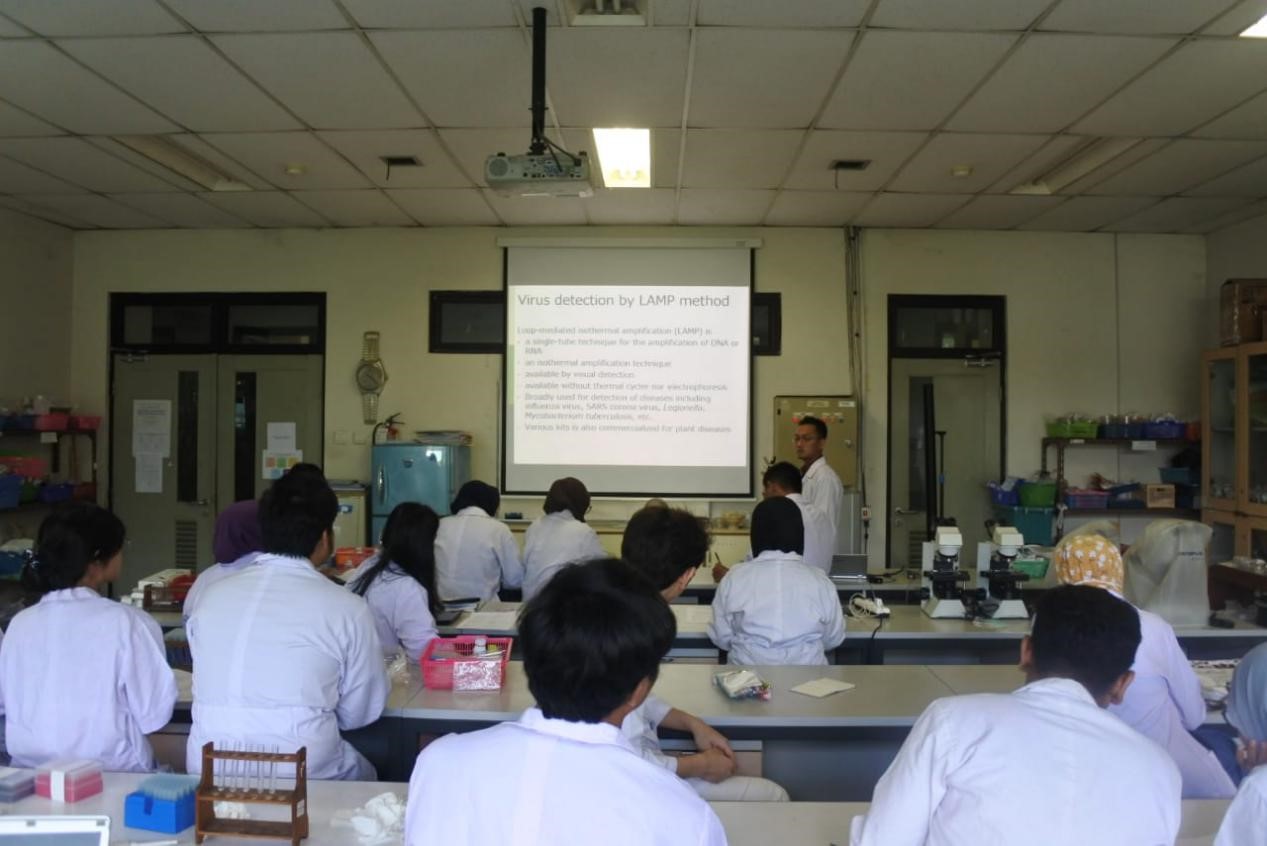 MINI WORKSHOP : VIRUS DETECTION BY LAMP METHOD – Fakultas Pertanian