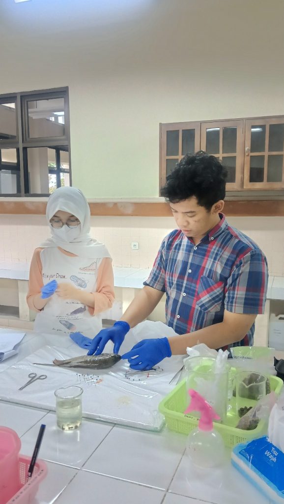 Mahasiswa Fakultas Pertanian UGM Rancang Kapsul Pendeteksi Kanker ... Mahasiswa Fakultas Pertanian UGM Rancang Kapsul Pendeteksi Kanker ...