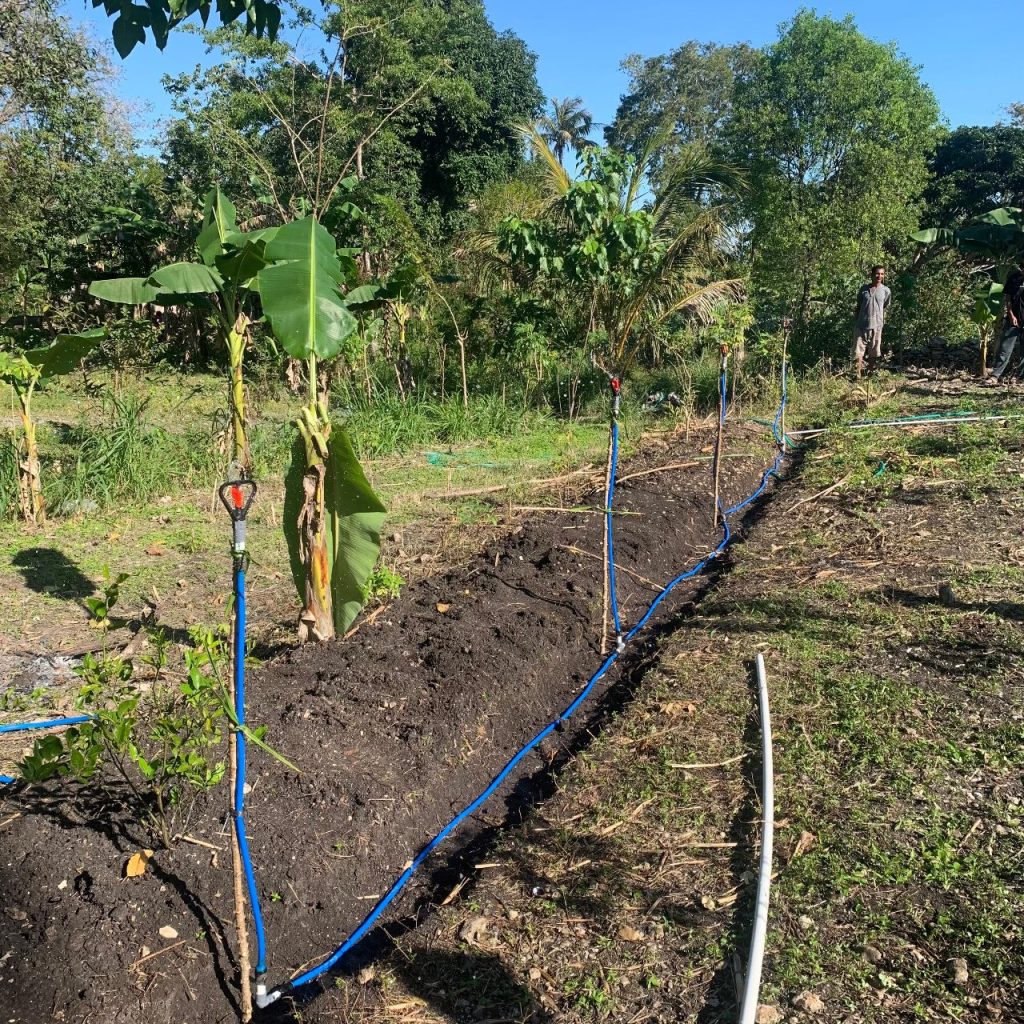 Terapkan Inovasi Pertanian Berkelanjutan, Mahasiswa Agronomi UGM ...