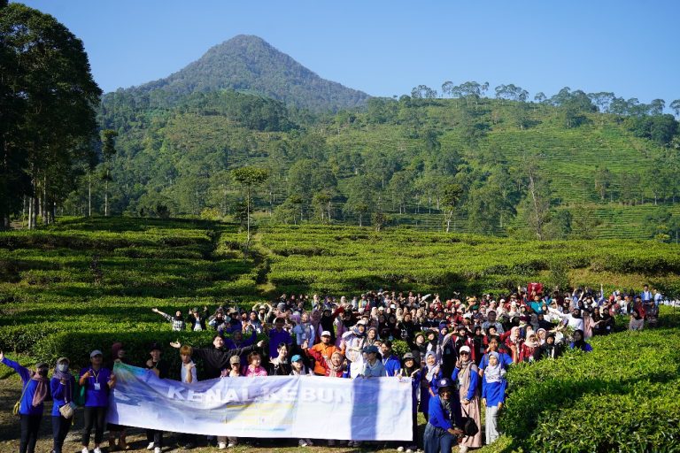 Mahasiswa AIMS Belajar Langsung Budidaya Teh dan Kakao Lewat Kegiatan ...