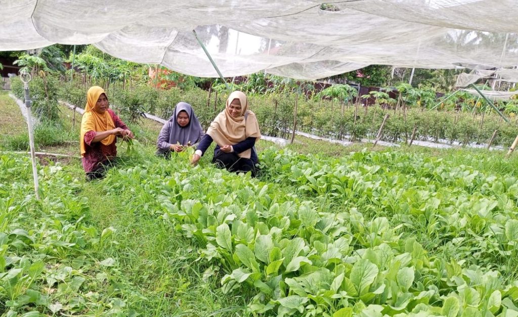 Mengenal Sosok Novika Sari Harahap, Sang Pelopor Pemberdayaan Daerah 3T ...